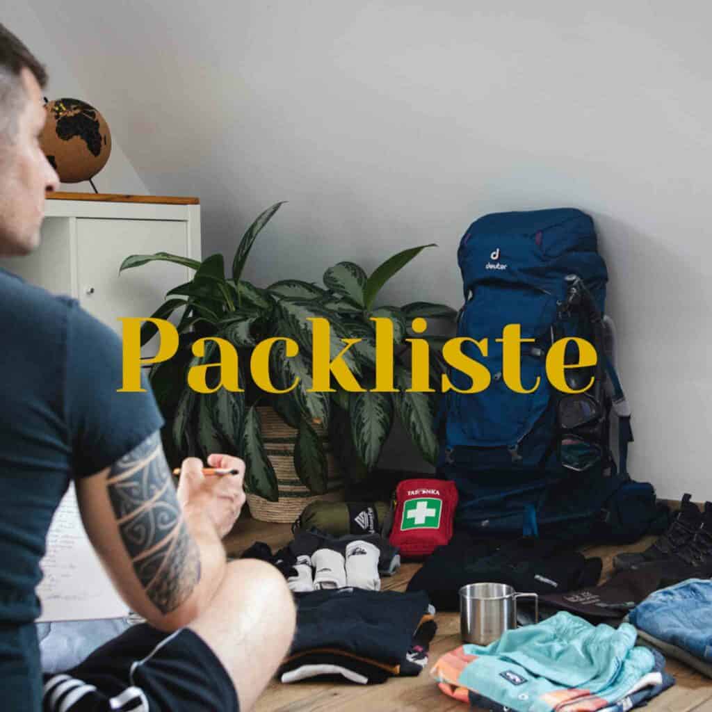 Sri Lanka TukTuk • Ein TukTuk mieten leicht gemacht | Weltreise Blog ...